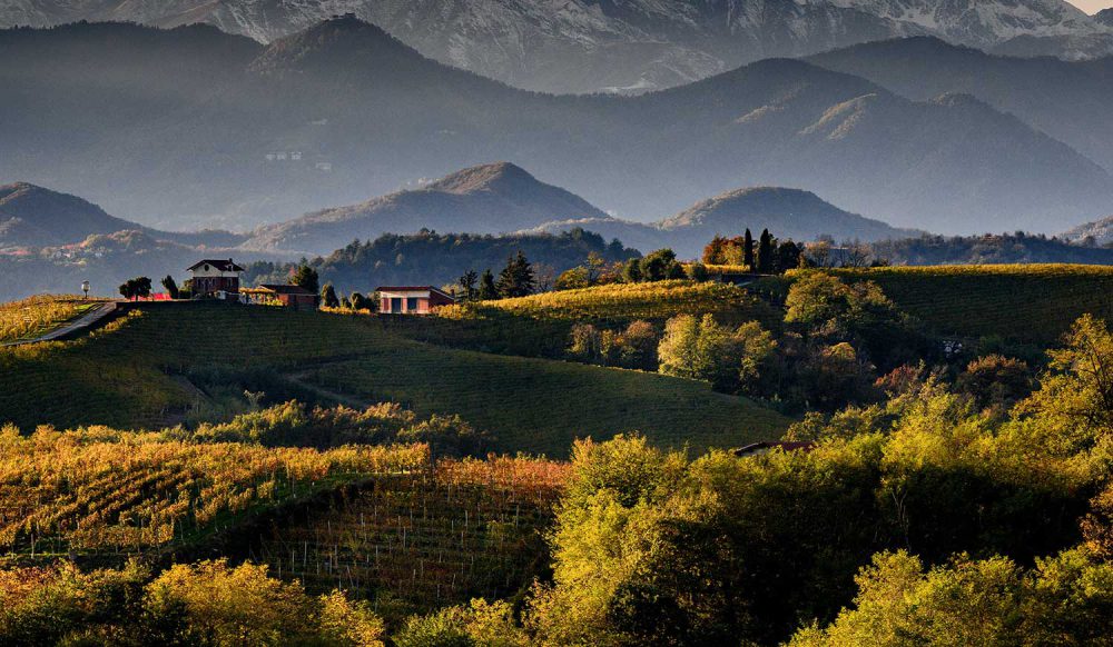Borgo di Gattinara, Natura, Vino e Prestigiose Cantine
