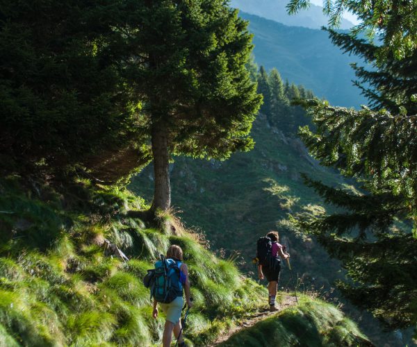 Alla scoperta della Val Sermenza - Visit Valsesia Vercelli