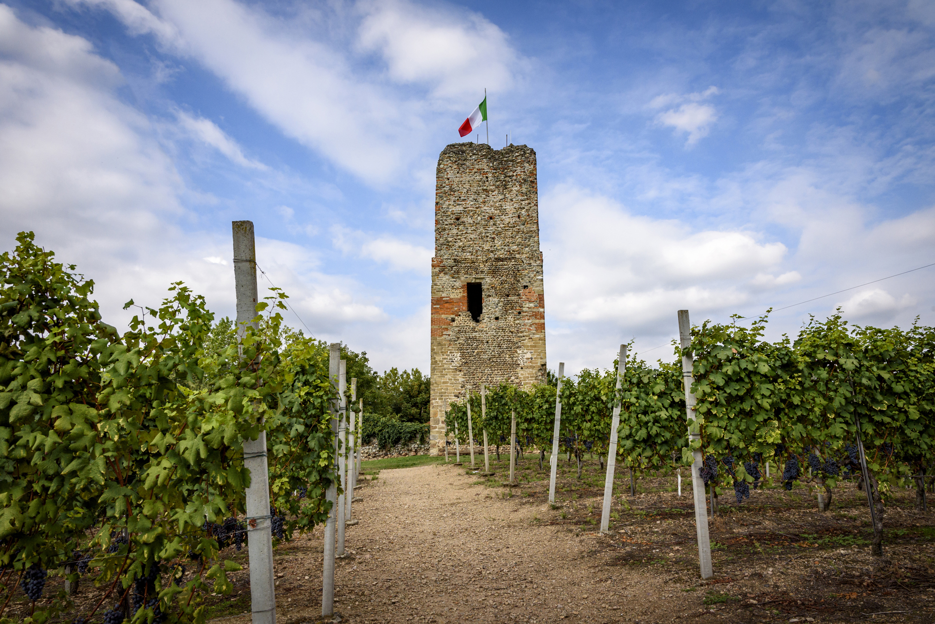 Borgo di Gattinara, Natura, Vino e Prestigiose Cantine