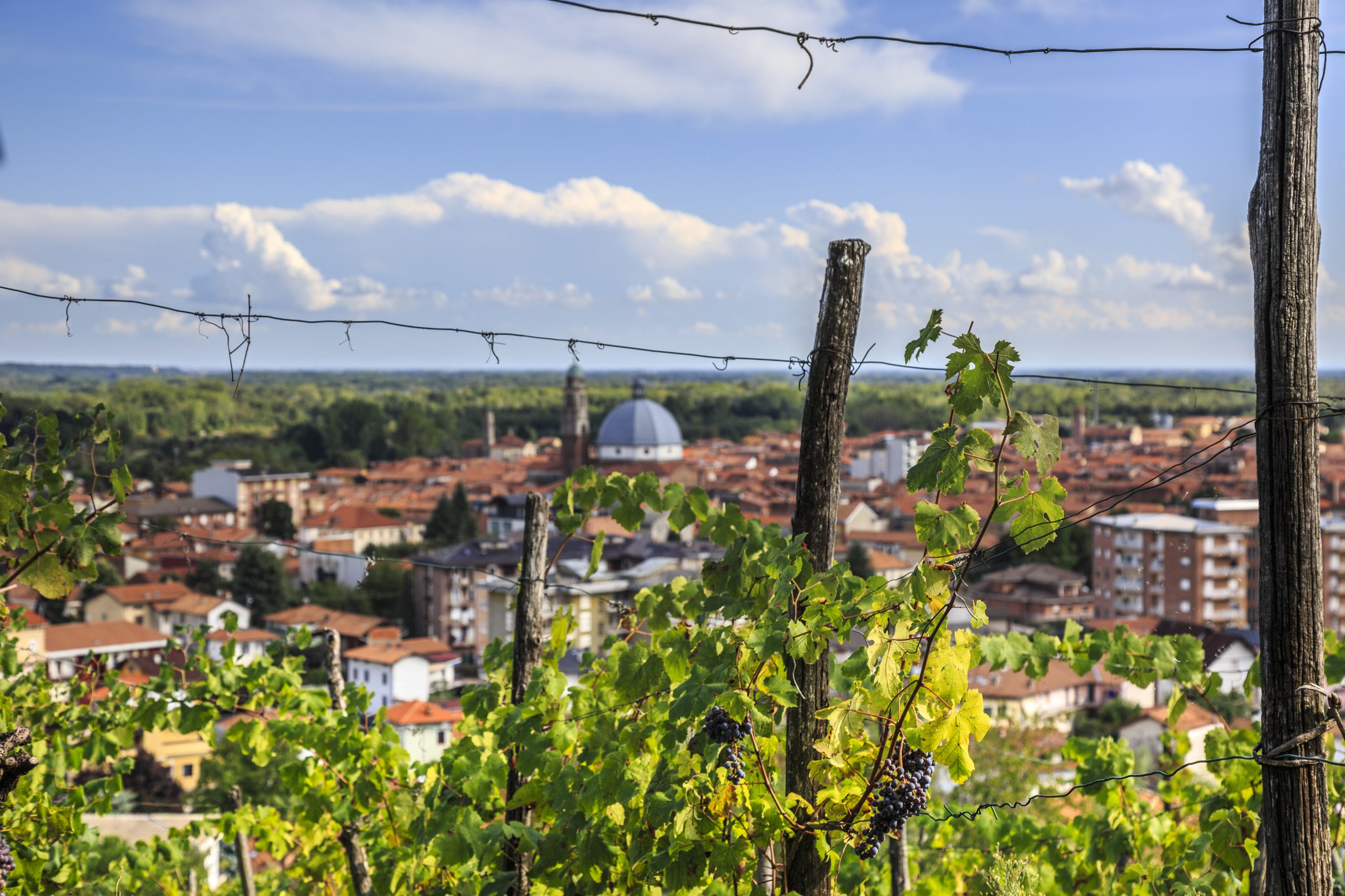 Une journée à Gattinara - Visit Valsesia Vercelli