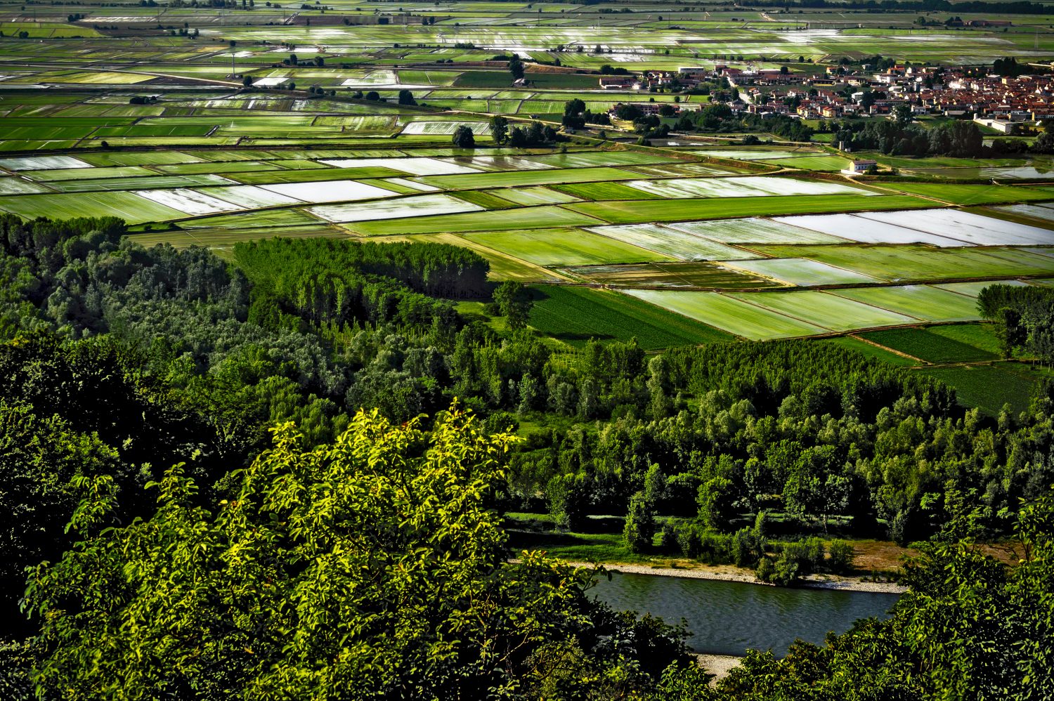 Exploring the Po river - Visit Valsesia Vercelli