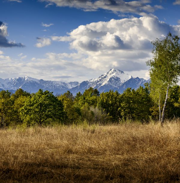 Borgo di Gattinara, Natura, Vino e Prestigiose Cantine