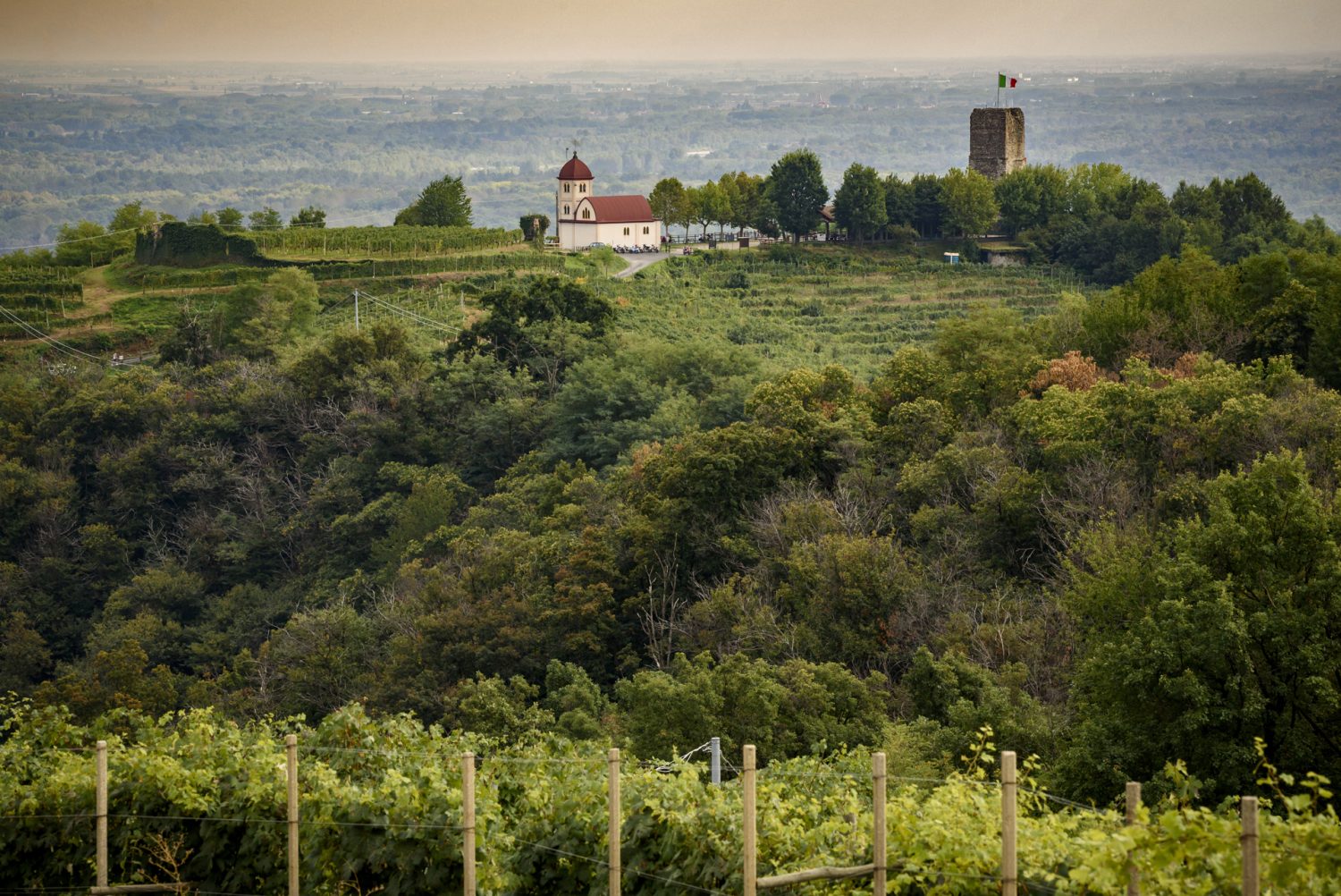Exploring the Gattinara hills - Visit Valsesia Vercelli