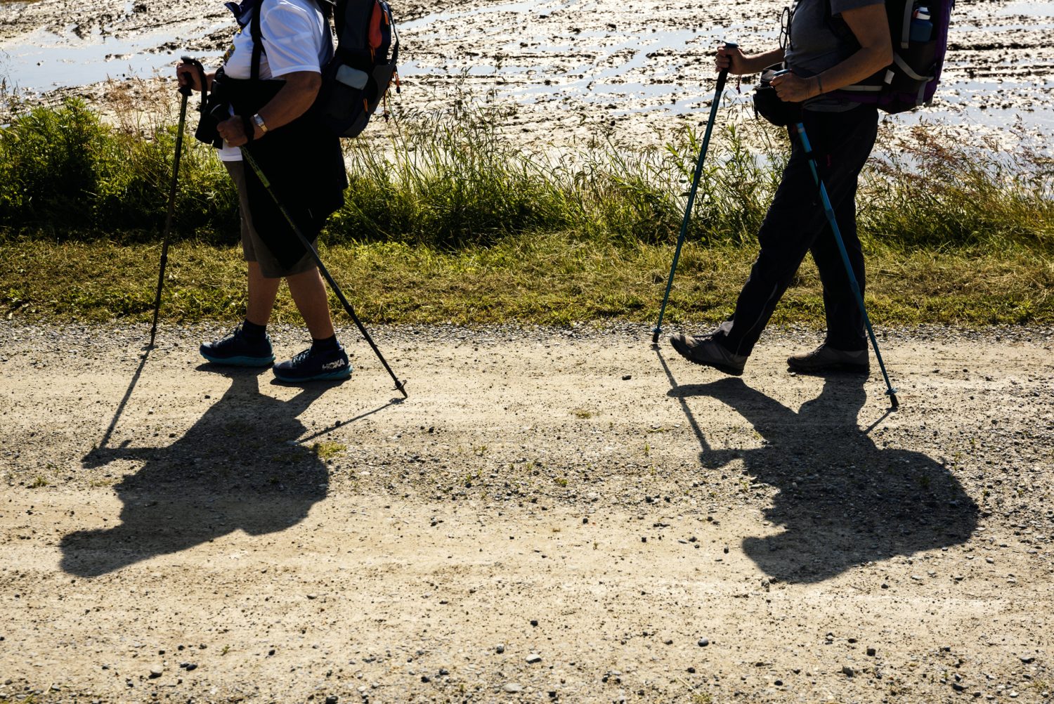 Saluggia - Visit Valsesia Vercelli