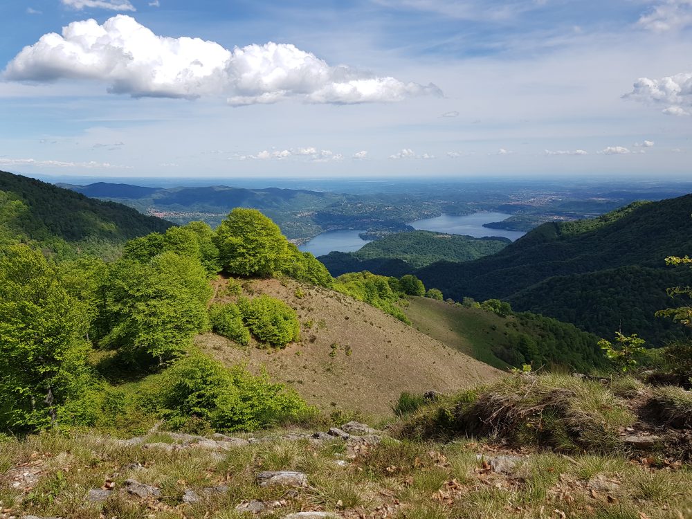 VARALLO, fraz. Corte (Camasco) – Alpe Sacchi - Visit Valsesia Vercelli